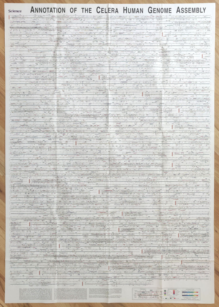 (Biology - History) Annotation of the Celera Human Gene Assembly – The ...