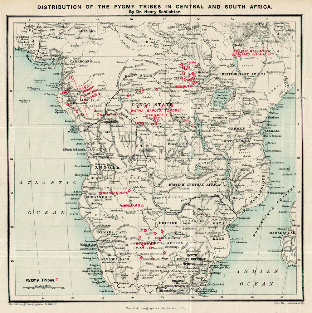 (Africa) Distribution Of The Pygmy Tribes... – The Old Map Gallery
