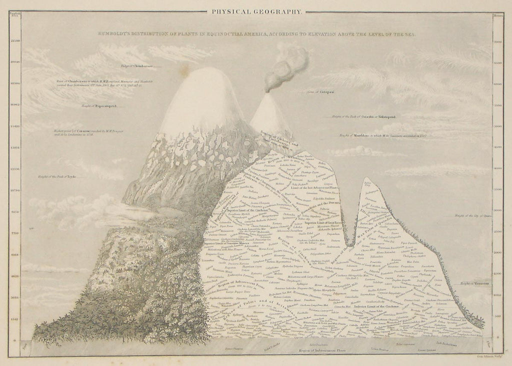 (Thematic) Humboldt's Distribution of Plants – The Old Map Gallery