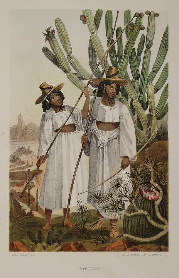 Papagos – The Old Map Gallery