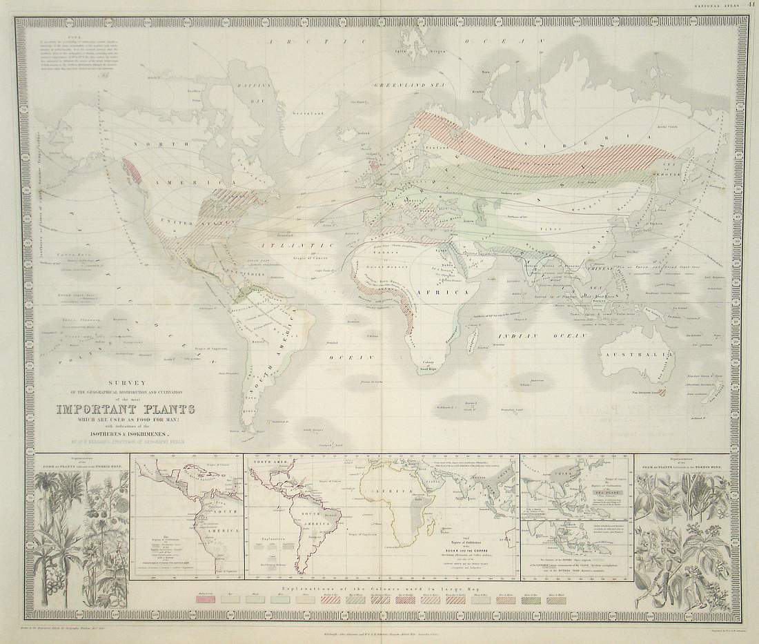Important Plants (World – The Old Map Gallery